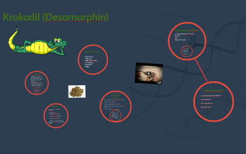 Krokodil (Desomoprhin) by bio logie on Prezi