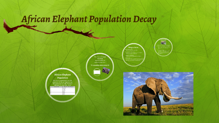 African Elephant Population Decay by Emma Sammons on Prezi