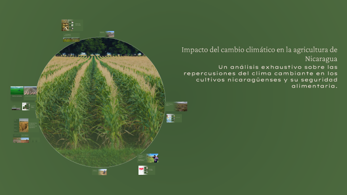 Impacto del cambio climático en la agricultura de Nicaragua by Norman ...