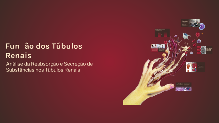 Função dos Túbulos Renais by Hillary Carvalho on Prezi