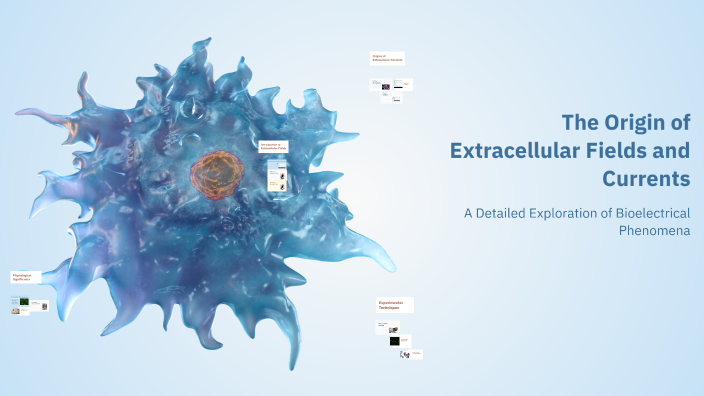 The Origin of Extracellular Fields and Currents by Hadi Barati on Prezi