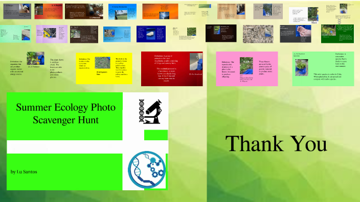 Ecology Photo Scavenger Hunt by lu Santos on Prezi