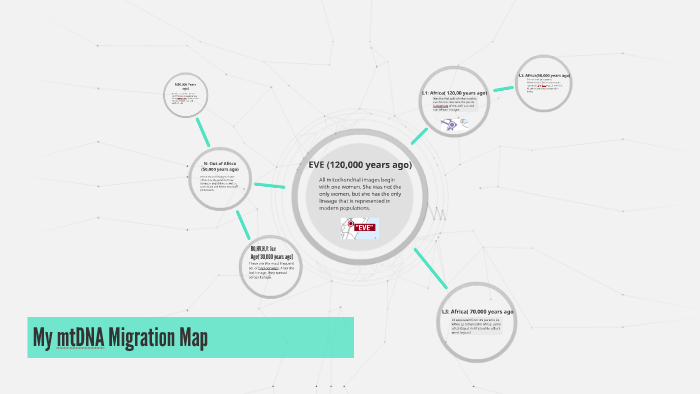My mtDNA Migration Map by Jake Levingston on Prezi