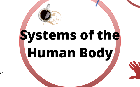 Physical Education Instructional Models by Rod Philpot on Prezi