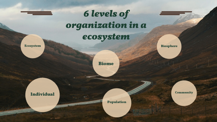 6 levels of organization in a ecosystem by Keenan Watkins on Prezi
