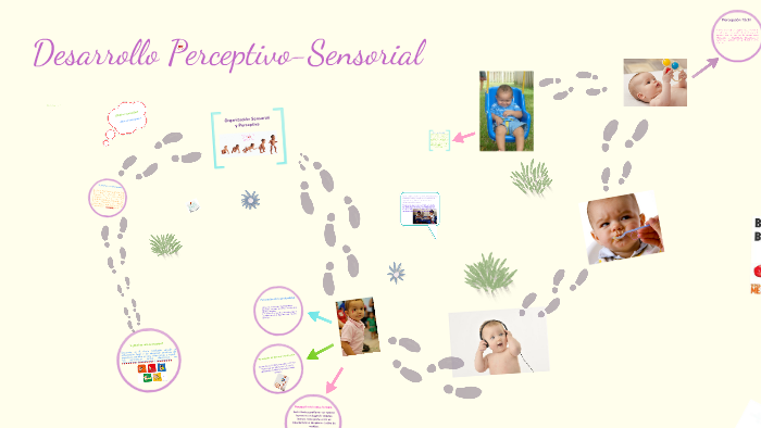 Desarrollo Sensorial y Perceptual by camila Montoya on Prezi
