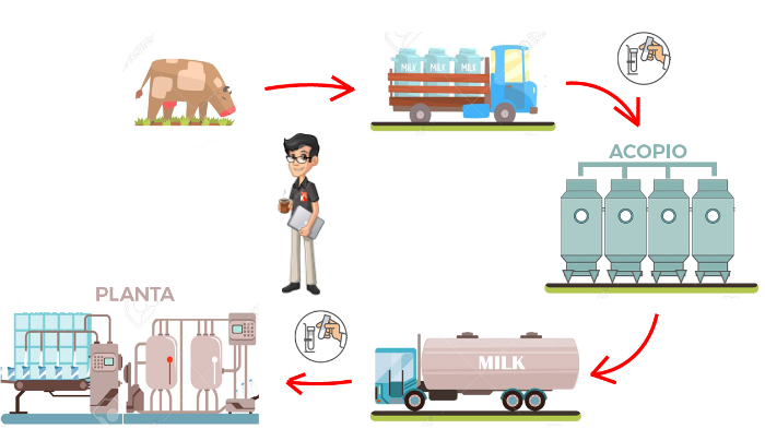 Presentacion observaciones by Victoria Labourdette on Prezi