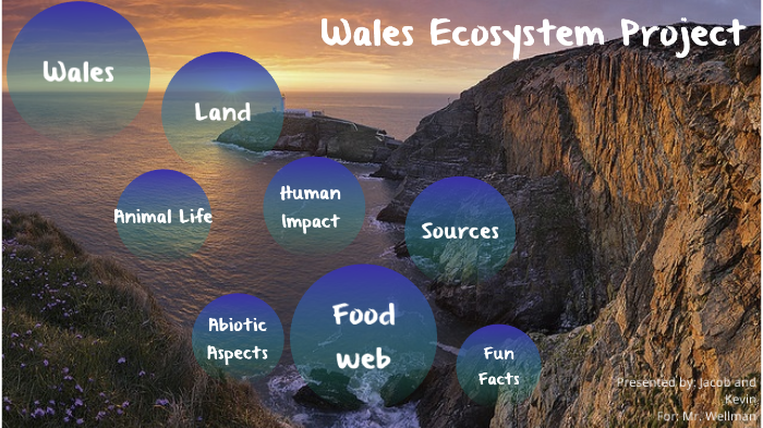 Wales Ecosystem Project - By Mo and Jacob by Jacob Felushko on Prezi