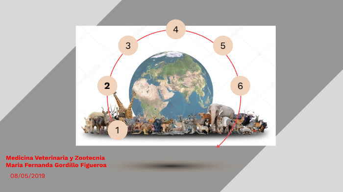 Veterinaria by Fernanda Gordillo on Prezi