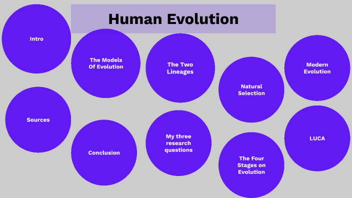 The Evolution of Modern Humans by Keira Wilkerson on Prezi