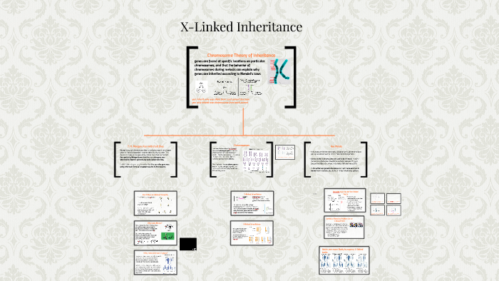 X-Linked Inheritance by Brian Miller