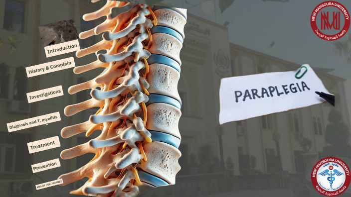 Understanding Paraplegia by Adam Moustafa on Prezi