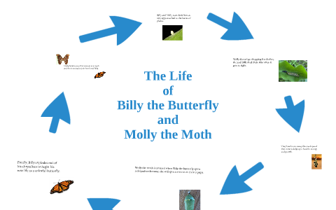The Life of Billy Butterfly and Molly the Moth by Dennis Albertson on Prezi