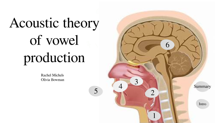 Acoustic Theory of Vowel Production by Rachel Michels on Prezi