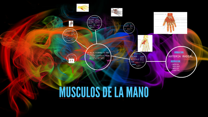 MUSCULOS DEL PULGAR by Eileene Arm on Prezi