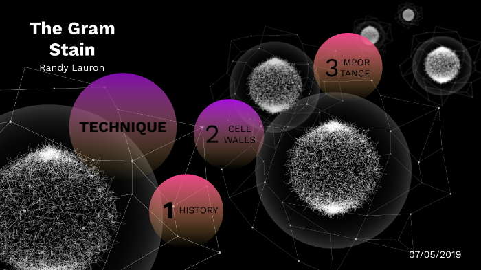 Gram Stain by Randy C. Lauron on Prezi
