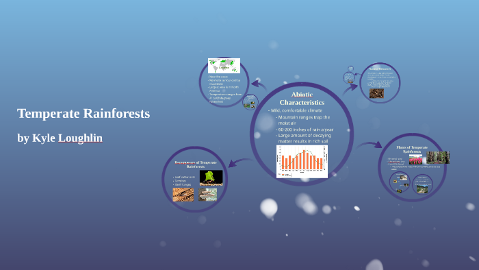 Temperate Rainforst by kyle loughlin on Prezi