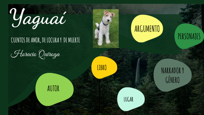 Yaguaí by Liliana Meire on Prezi