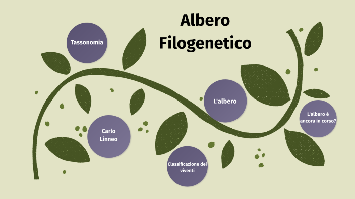 Albero filogenetico by Matteo Zampini on Prezi