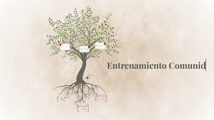 Raiz del problema by Rodrigo Iturriaga Alday on Prezi