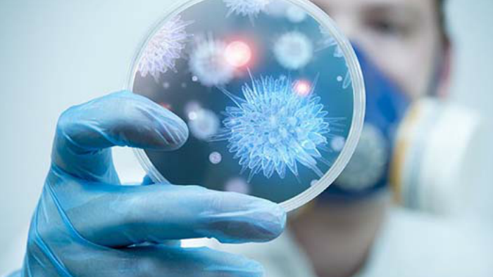 CONFIRMAÇAO DA EFICÁCIA DO TESTE DE HODGE MODIFICADO ATRAVES by Jânia ...