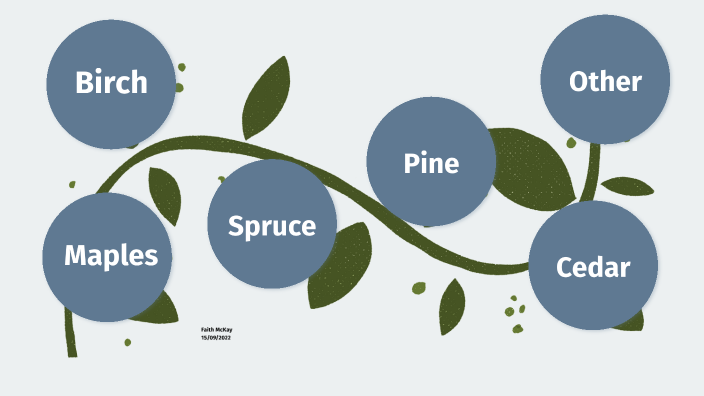 Trees of NB by Faith McKay on Prezi