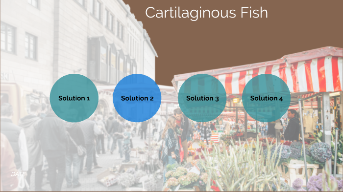 Cartilaginous Fish by Hunter Secor on Prezi