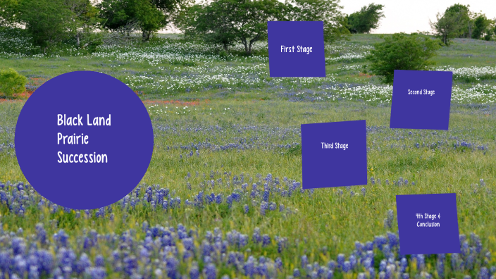Black-land Prairie succession by Shirley Bracewell on Prezi