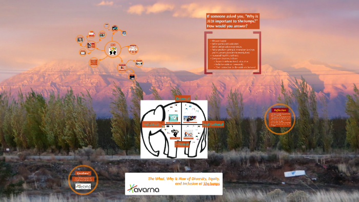 SheJumps What, Why & How of DEI by Ava Holliday