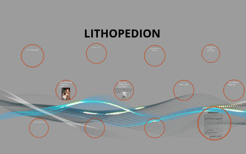 LITHOPEDION by Matthew Nelson on Prezi