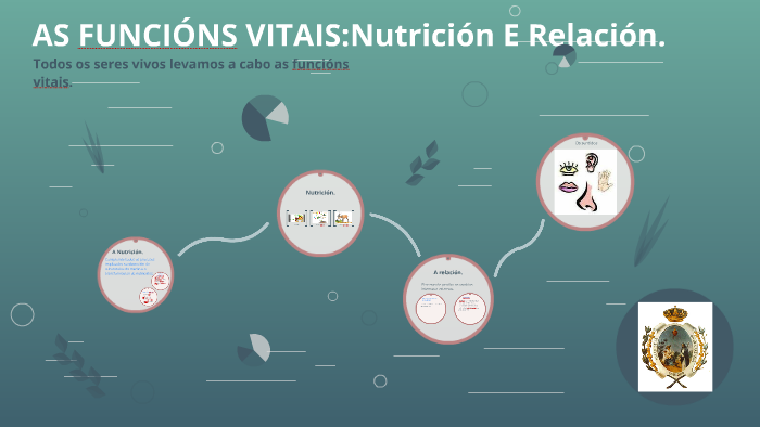 AS FUNCIÓNS VITAIS:Nutrición E Relación by Pablo Mijares Grobas on Prezi