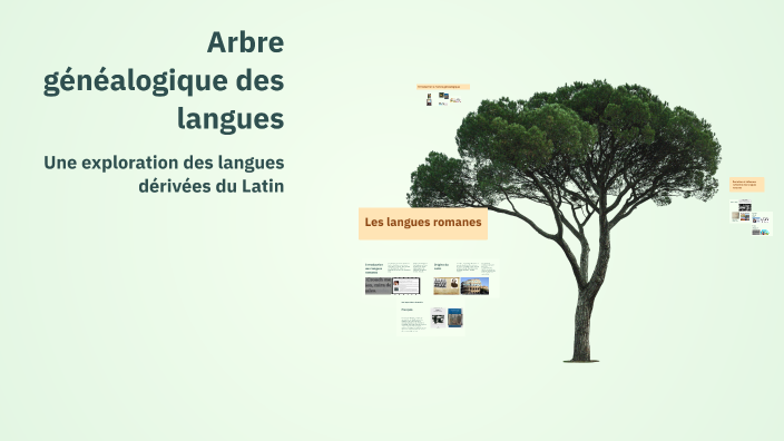 Arbre généalogique des langues by Sara Sofia Chemas on Prezi