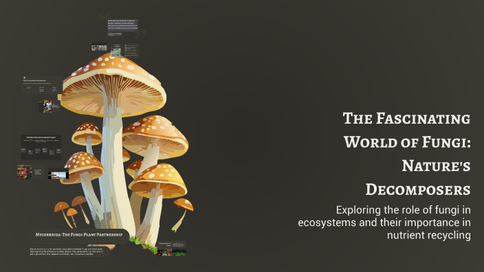 The Fascinating World of Fungi: Nature's Decomposers by Coy McKinney on ...