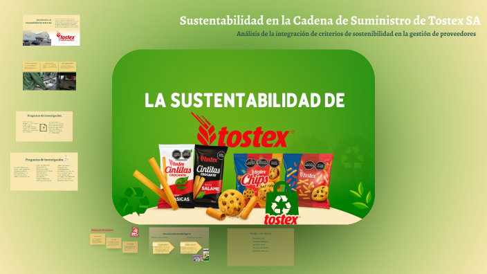 Sustentabilidad en la Cadena de Suministro de Tostex SA by martina ...