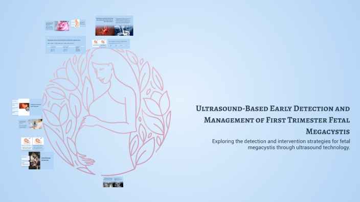 Ultrasound-Based Early Detection and Management of First Trimester ...