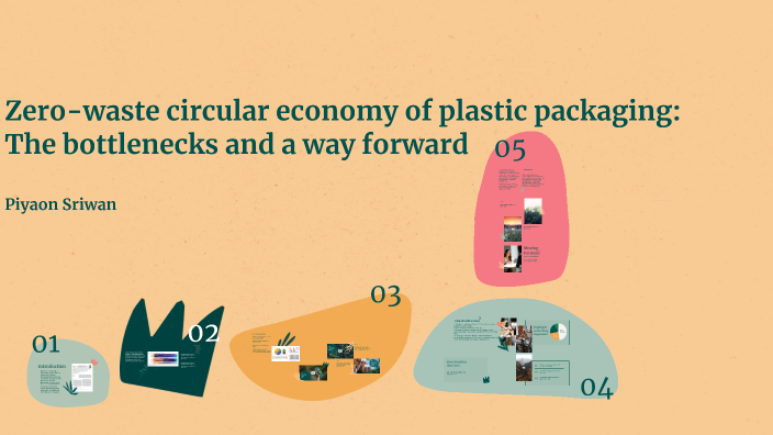 Zero-waste circular economy of plastic packaging: The bottlenecks and a ...