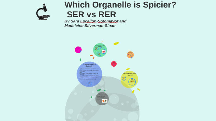 SER vs RER by Sara Escallon on Prezi