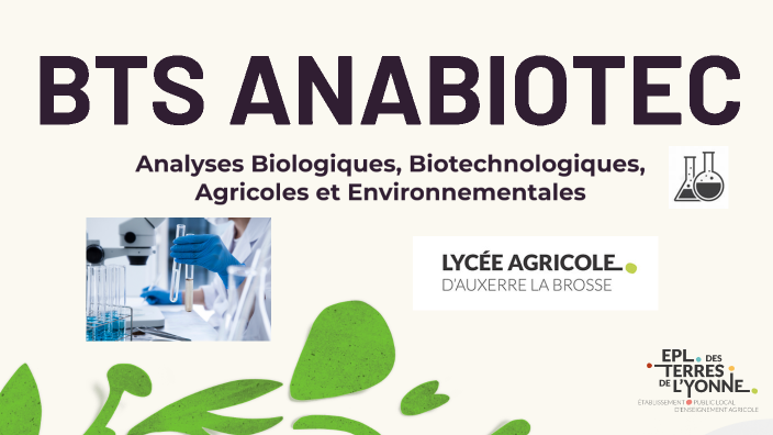 Présentation du BTS Anabiotec by Jeanne GOMES MARTINS on Prezi