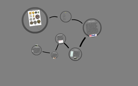 Saving Rome Inflation by Colin Richardson on Prezi