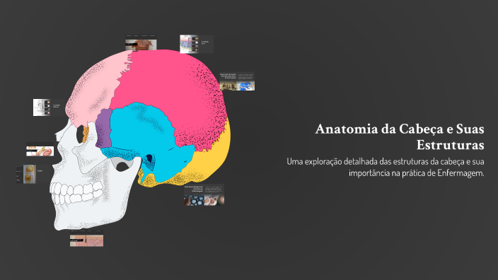 Anatomia da Cabeça e Suas Estruturas by yara batista on Prezi