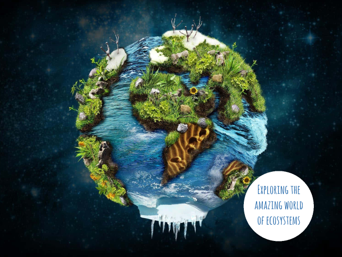 ECOSYSTEMS by Samantha Sapienza on Prezi