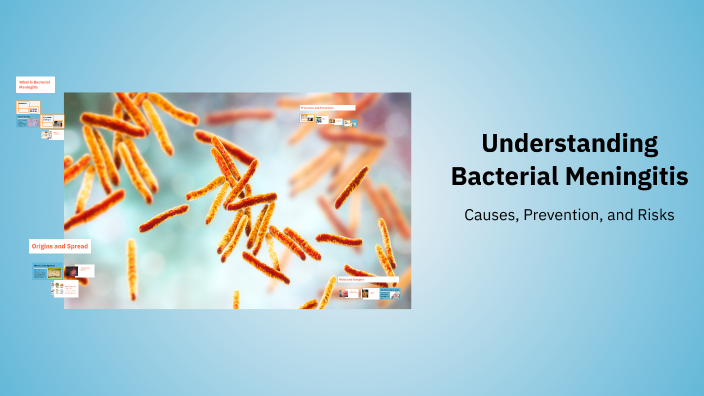 Understanding Bacterial Meningitis by Krizelle Marie on Prezi