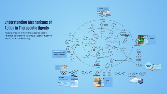 Understanding Mechanisms of Action in Therapeutic Agents by ABDULLAH ...