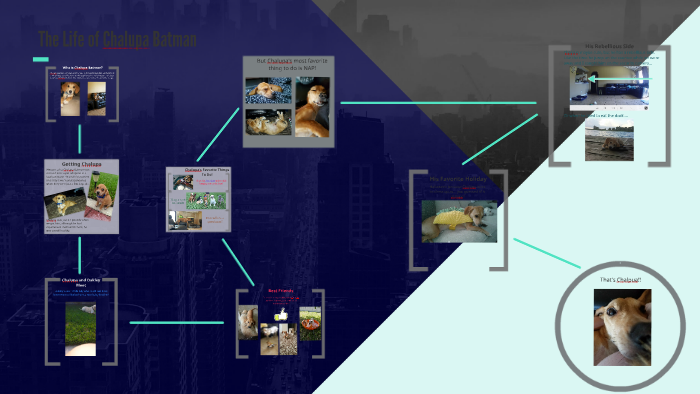 The Life of Chalupa Batman by Kallie Goodwin on Prezi