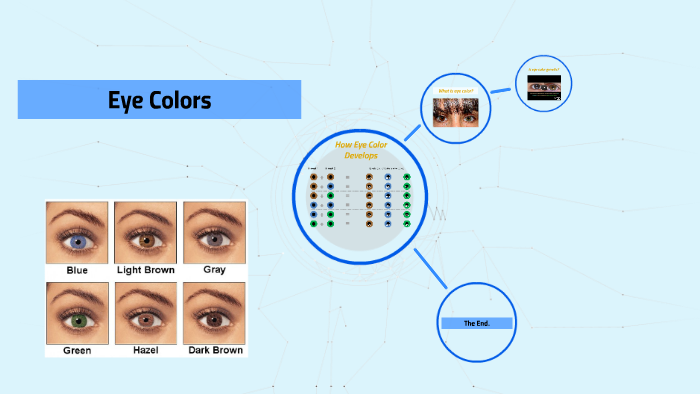 Eye Colors by Mary Rihani on Prezi