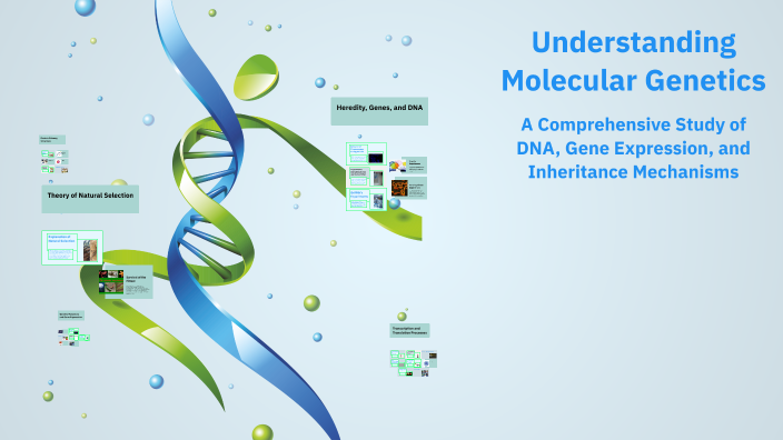 Understanding Molecular Genetics by ERICA MCDONALD on Prezi