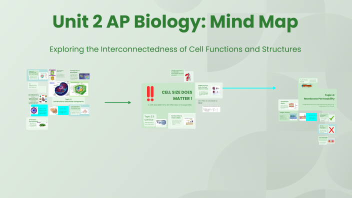 Unit 2 AP Biology: Mind Map by Nathan Murillo on Prezi