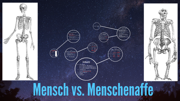 Mensch vs. Menschenaffe by Finn Schinke on Prezi