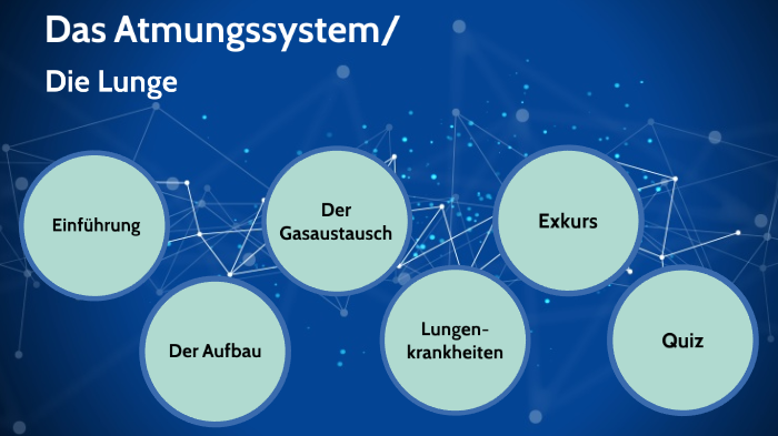 Das Atmungssystem by Aimée Lotoi on Prezi