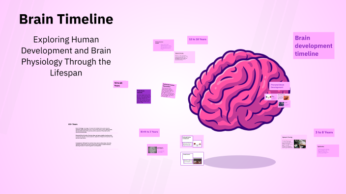 Brain Timeline by Gracie Scott on Prezi